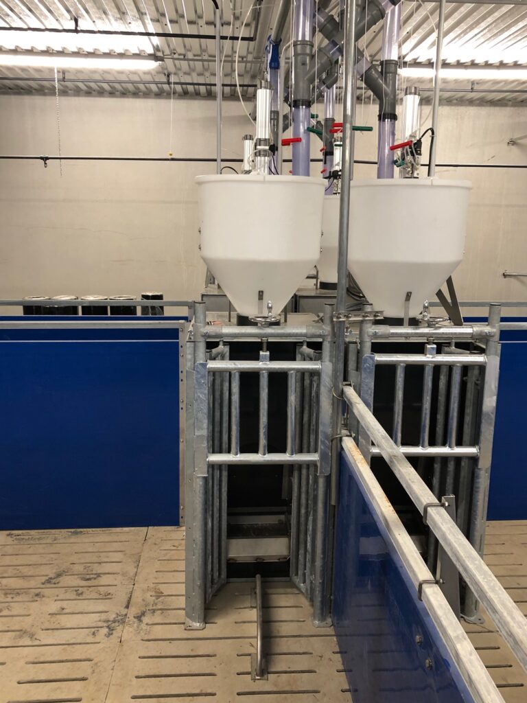 IVOG-feeding-station | Hokofarm Group